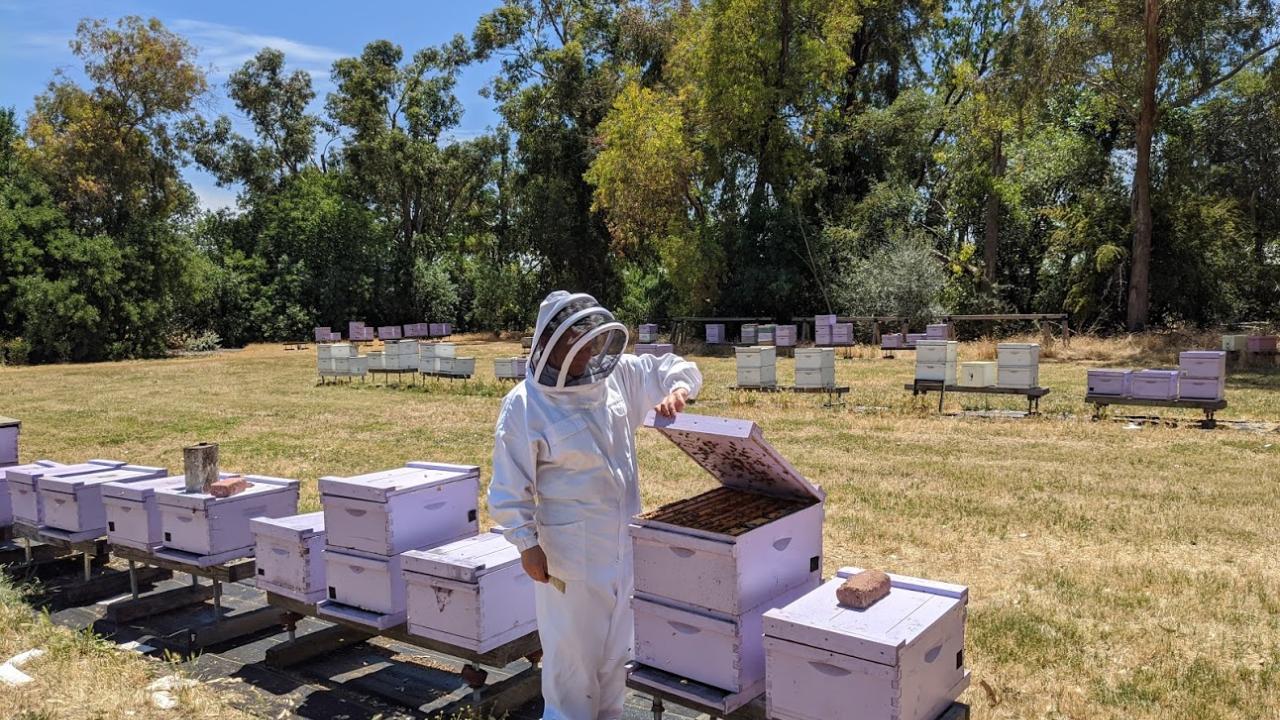 Knowledge Base | California Master Beekeeper Program